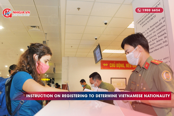 Instruction on registering to determine Vietnamese nationality ...